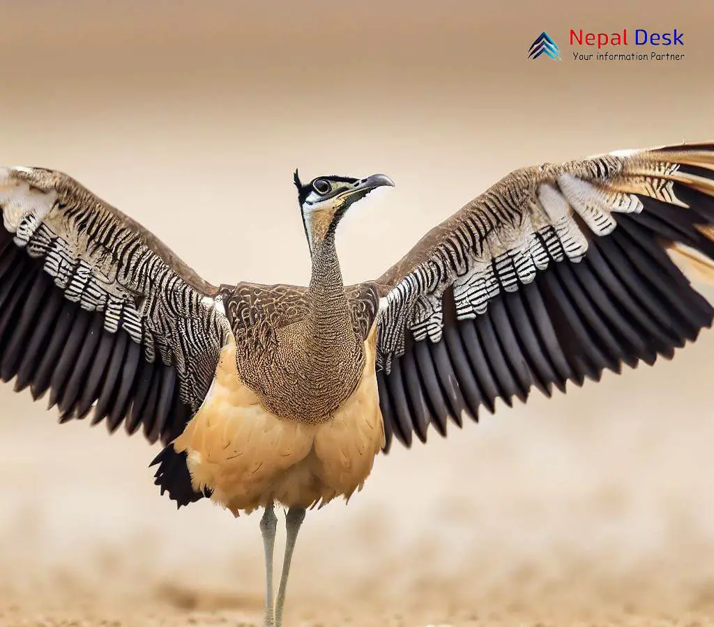 Great Indian Bustard: Majestic Icon of the Grasslands | Nepal Desk